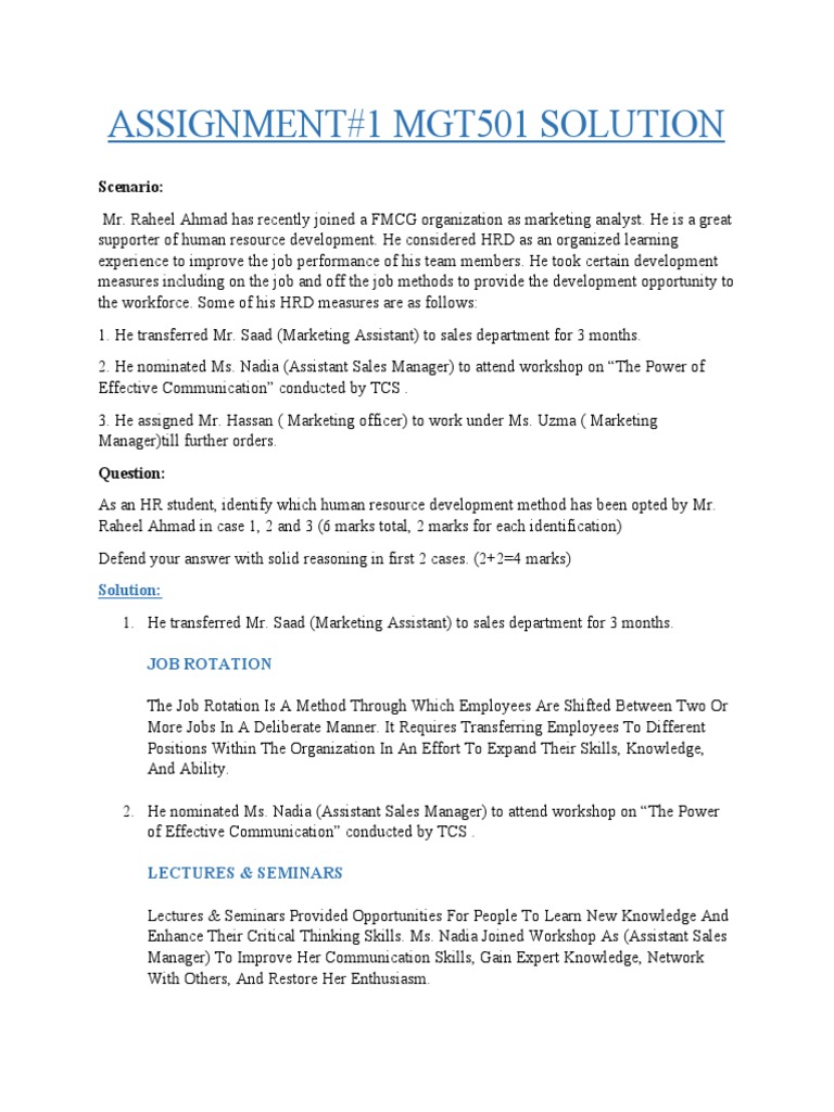 Assignment 1 Solution MGT501 | PDF