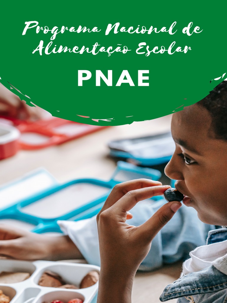 Importância do PNAE na Alimentação Escolar | PDF | Bolívia | Alimentos