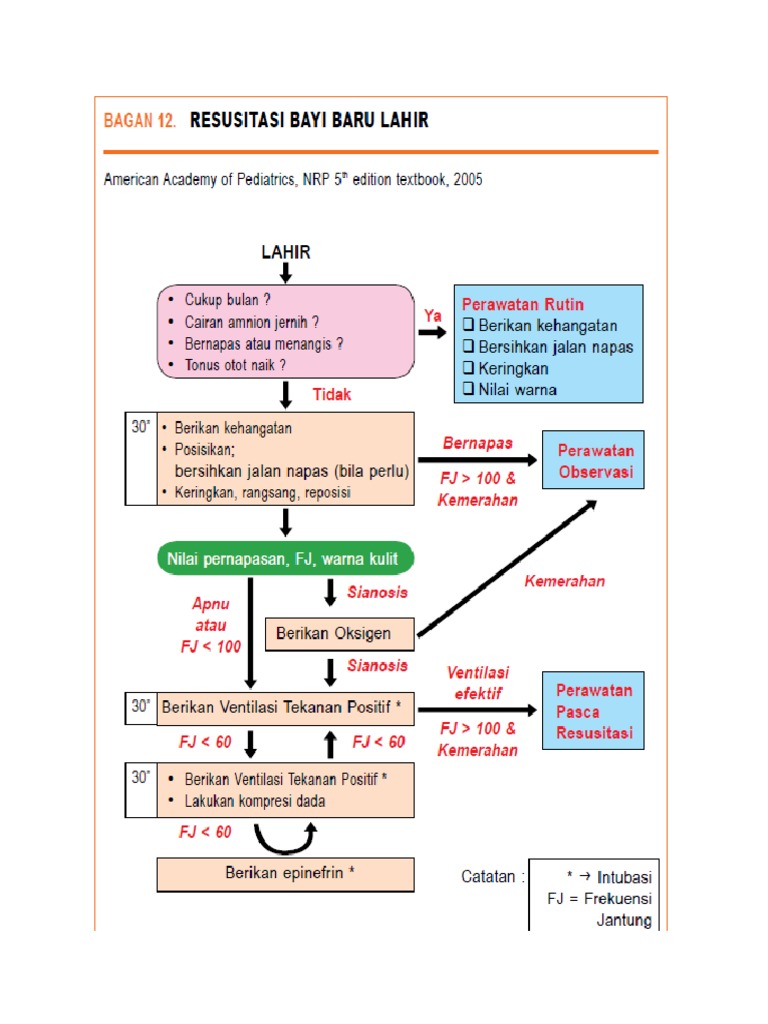 Resusitasi Neonatus | PDF