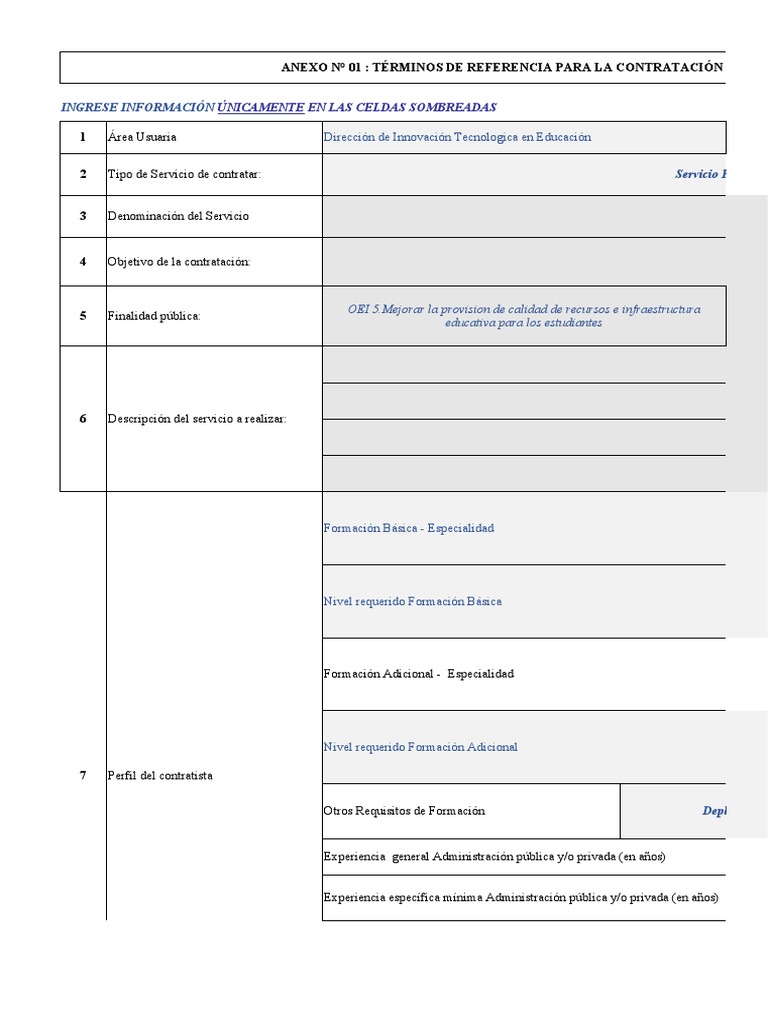 FORMATO TDR - MODELO 2022-GJPZ - Puno | PDF | Maestros | Innovación
