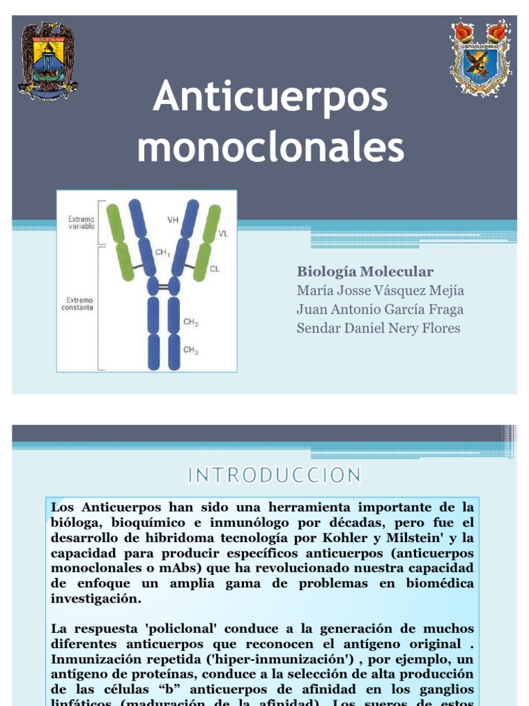 Anticuerpos monoclonales | Anticuerpo Monoclonal | Anticuerpo