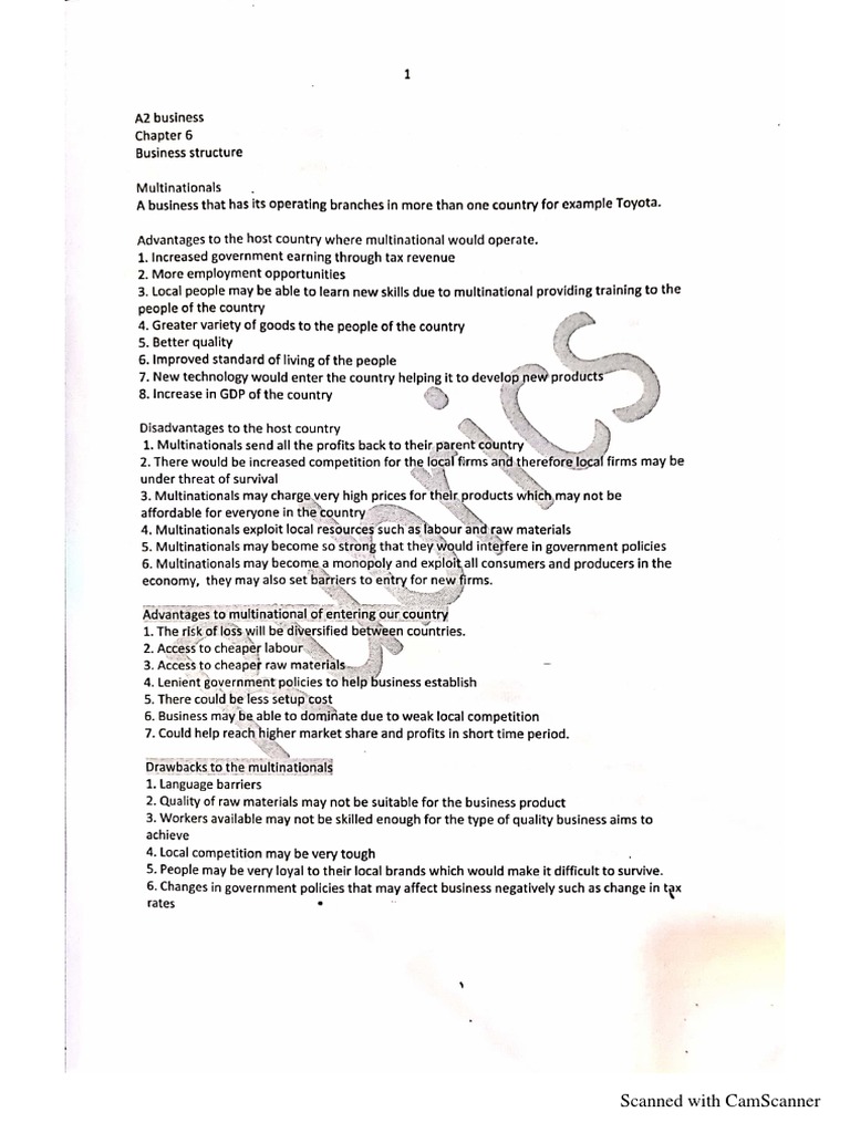 A Level Business Notes | PDF