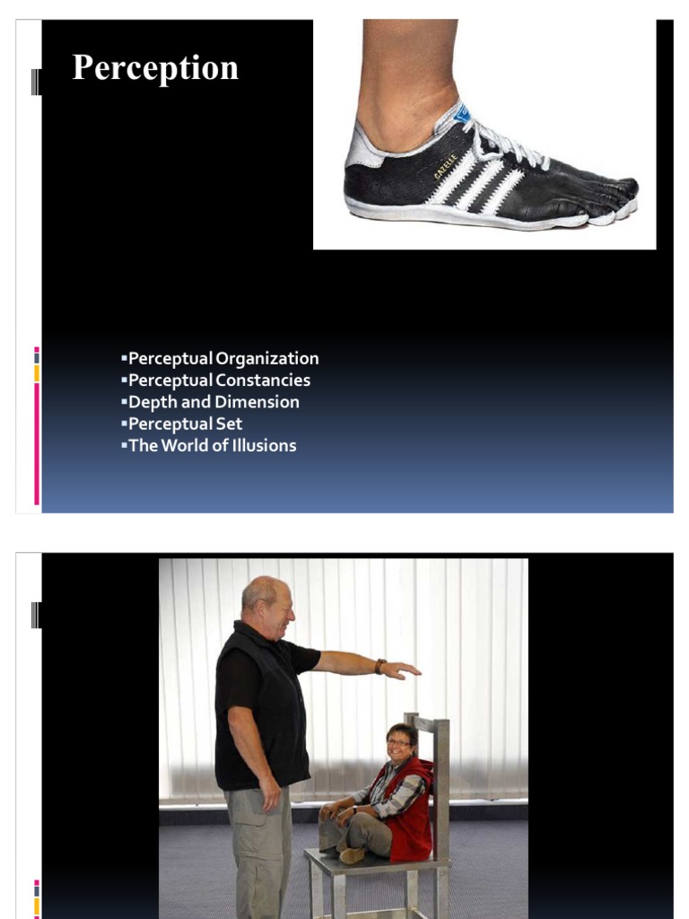 Perception Psychology | PDF | Extrasensory Perception | Perception