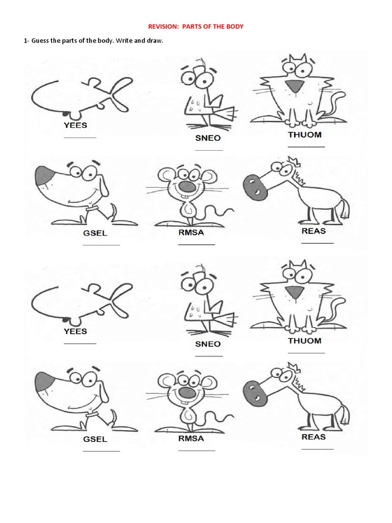 REVISION - Parts of The Body | PDF