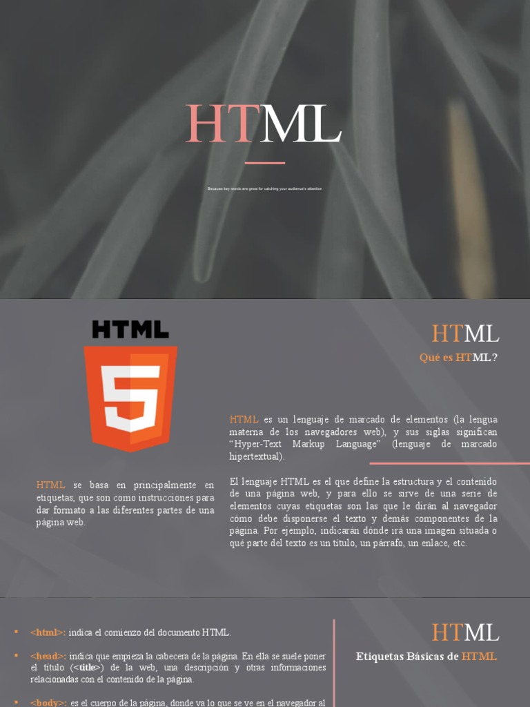00 HTML | PDF | HTML | Lenguaje de marcado