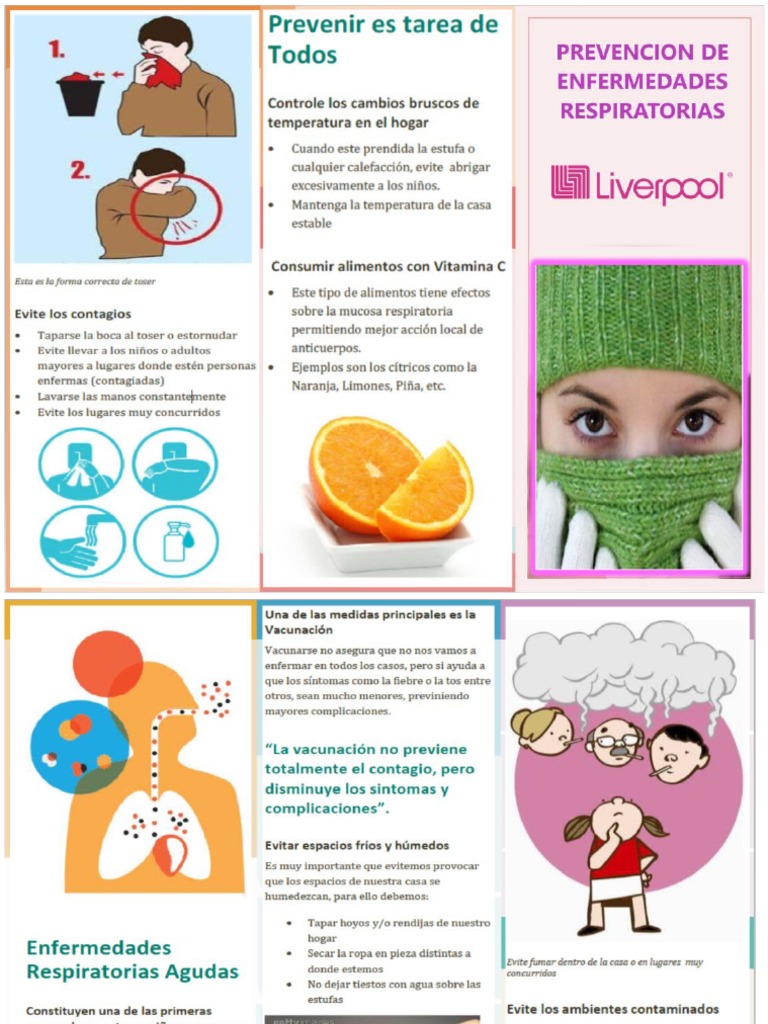 276282549 Triptico Enfermedades Del Sistema Respirato - vrogue.co 276282549 Triptico Enfermedades Del Sistema Respirato - vrogue.co