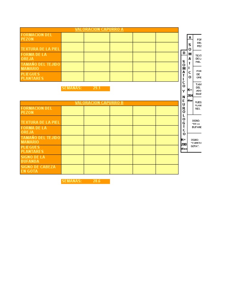 CAPURRO | PDF | Estudios de idiomas extranjeros