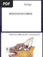 Nomes de 100 Músculos Do Corpo Humano | PDF | Sistema Locomotor ...