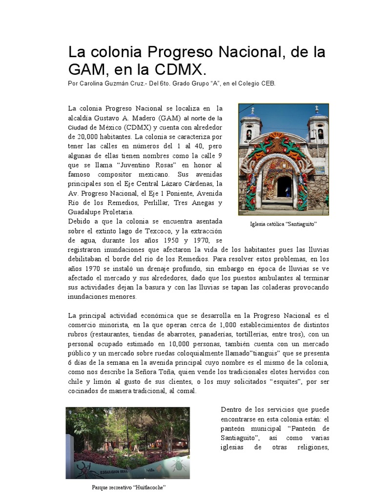Progreso Nacional: Colonia en GAM CDMX | PDF | Ciudad de México