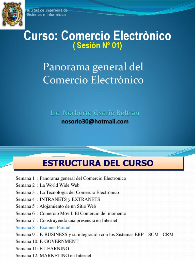 ECommerce 01 | PDF | Comercio electrónico | Informática