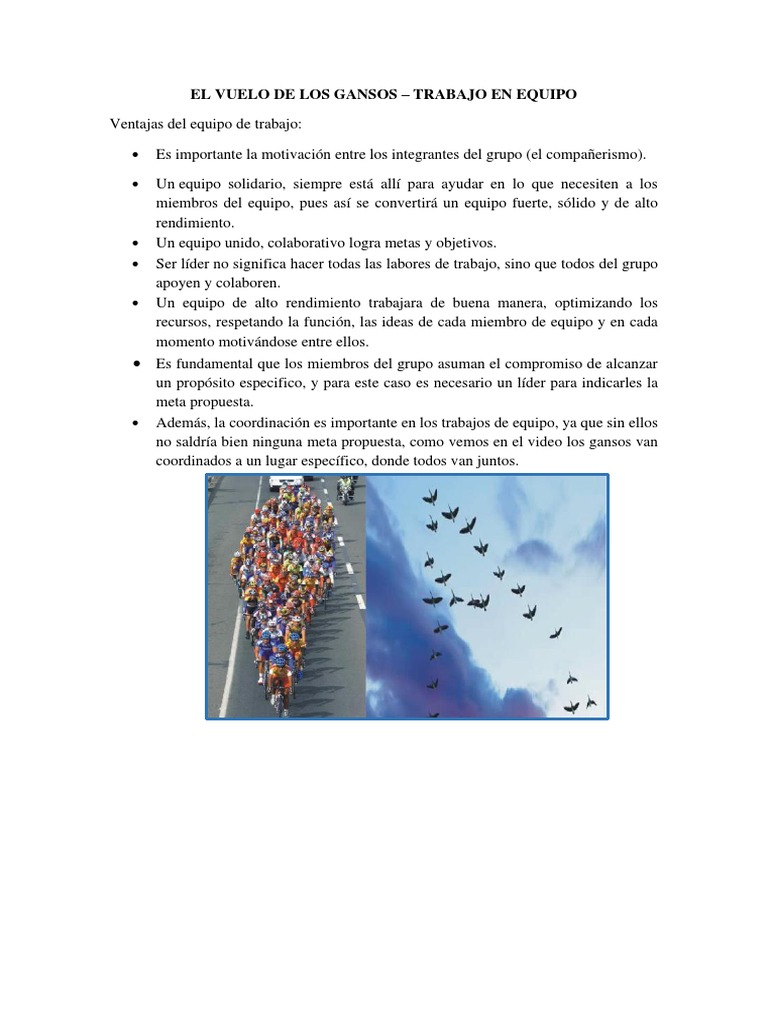 El Vuelo de Los Gansos | PDF