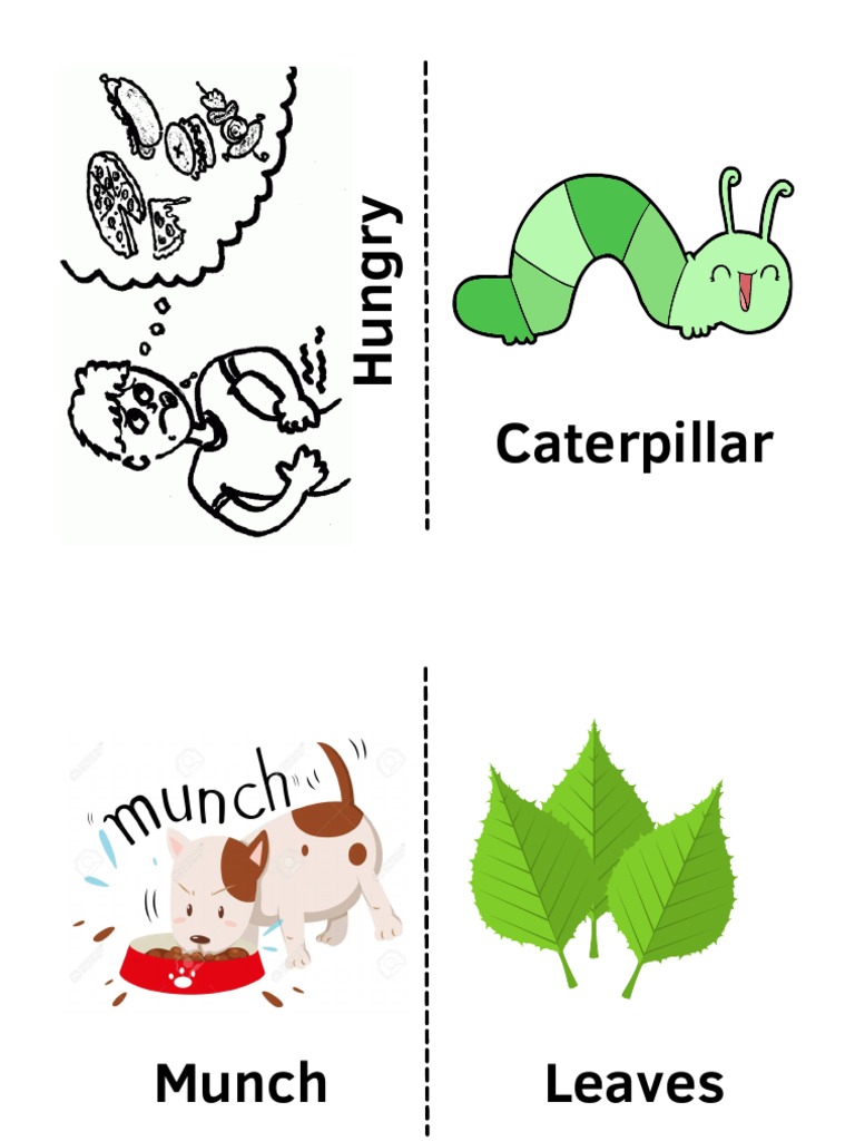 Crunching Munching Caterpillar Vocab Flashcards | PDF