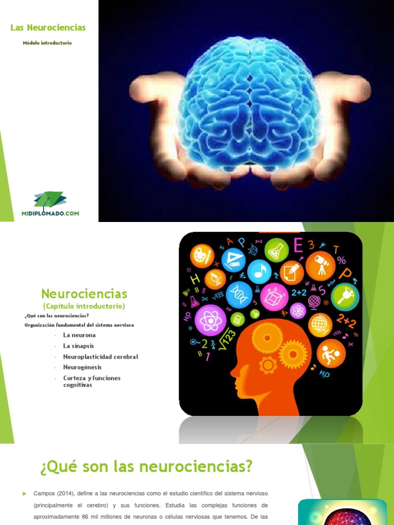 Neurociencias | PDF | Neurociencia | Cerebro