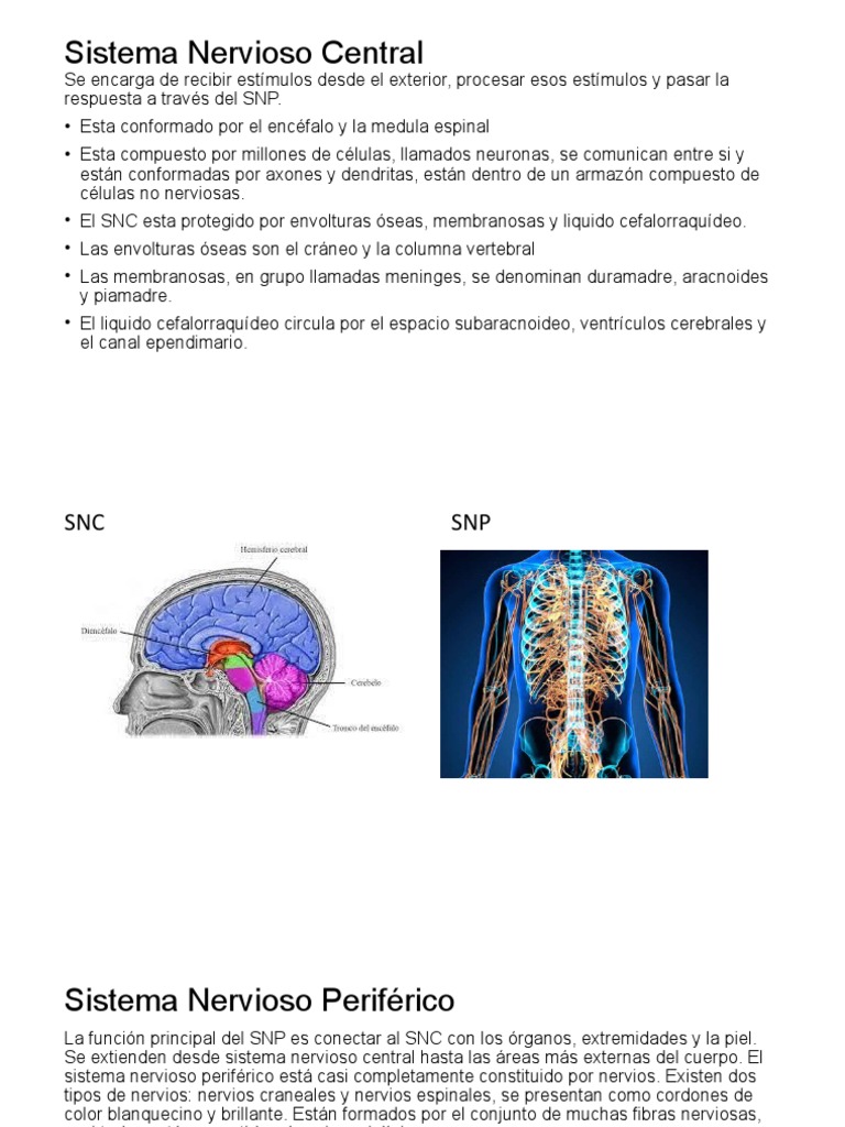 SNC y SNP | PDF | Ciencia y matemáticas