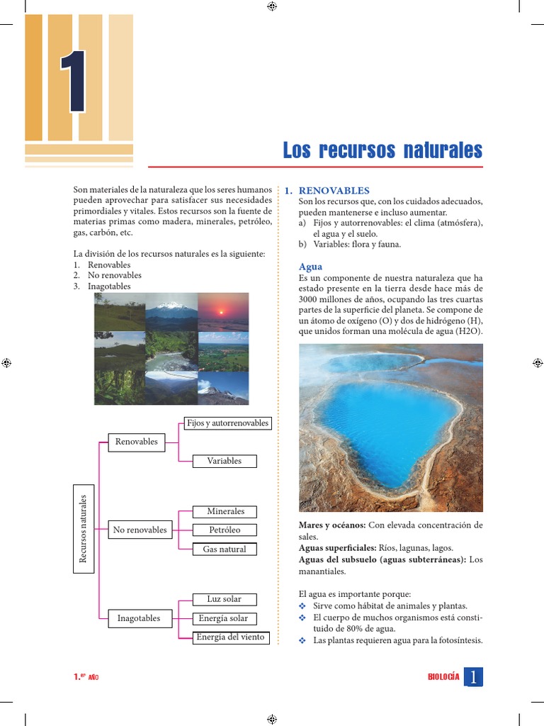 Tipos de Recursos Naturales en Biología | PDF | Agua | Energía renovable