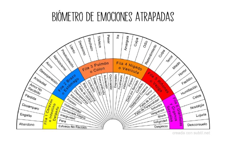 Biómetro de Emociones Atrapadas | PDF