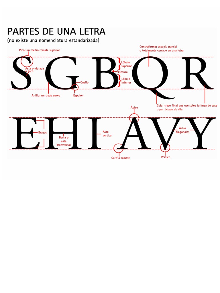 04 Partes de Una Letra - JPG | PDF