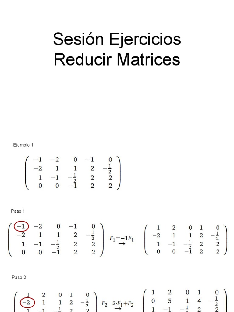 Sesión Ejercicios Reducir Matrices | PDF