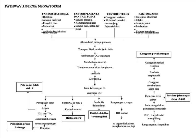 Pathway Asfiksia Neonatorum | PDF