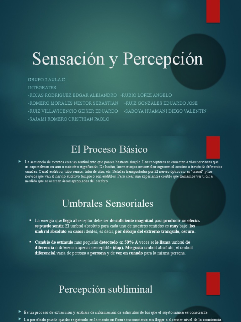 Comprendiendo los procesos sensoriales y perceptivos | PDF | Color ...