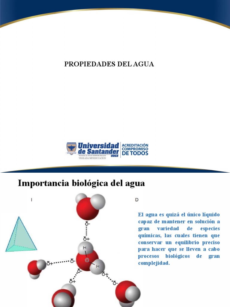 Propiedades Biológicas de Agua | PDF | Propiedades del agua | Fuerza intermolecular
