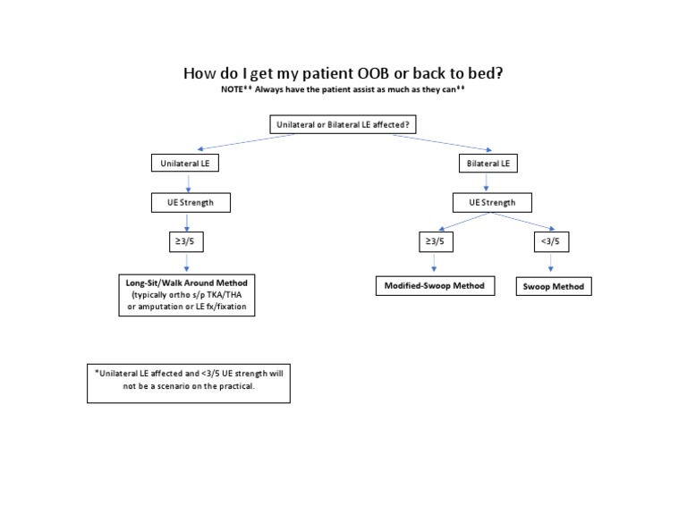 Bed Mobility Decision Tree Revised(1) | PDF