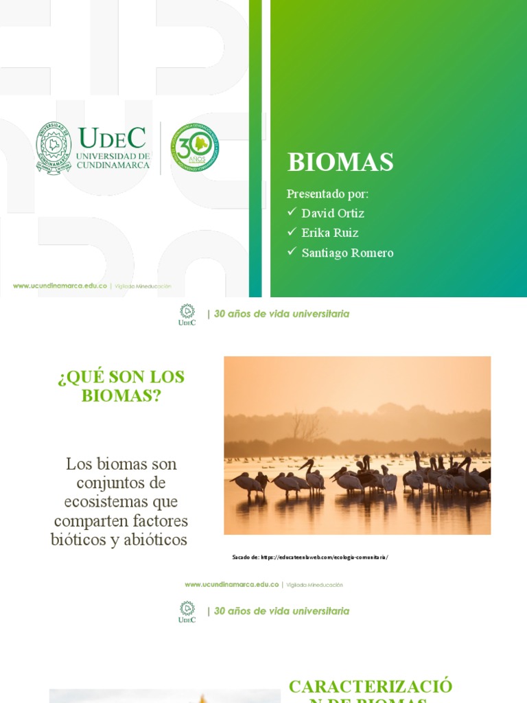 Biomas y sus características | PDF | Ecología | Ecosistema