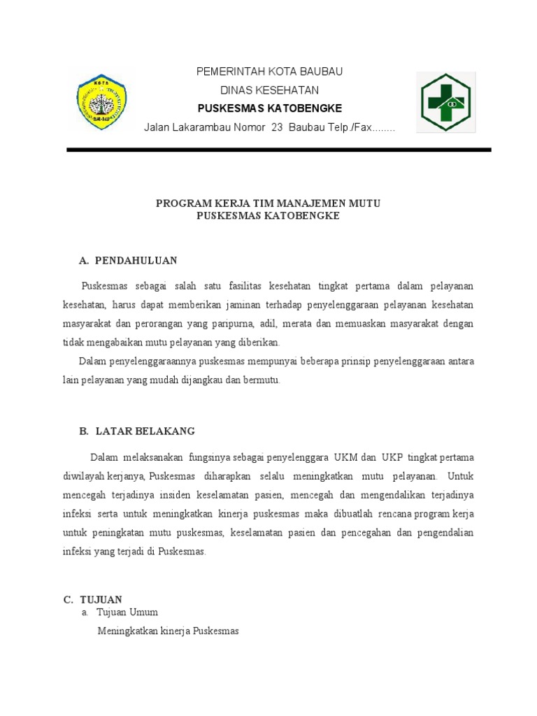 Program Mutu Puskesmas Katobengke | PDF