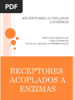Receptores Catalíticos y su Función | PDF | Receptor (Bioquímica) | Quinasa