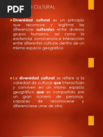 Mapa Conceptual Diversidad Cultural | PDF | Interculturalidad | Educacion Cultural