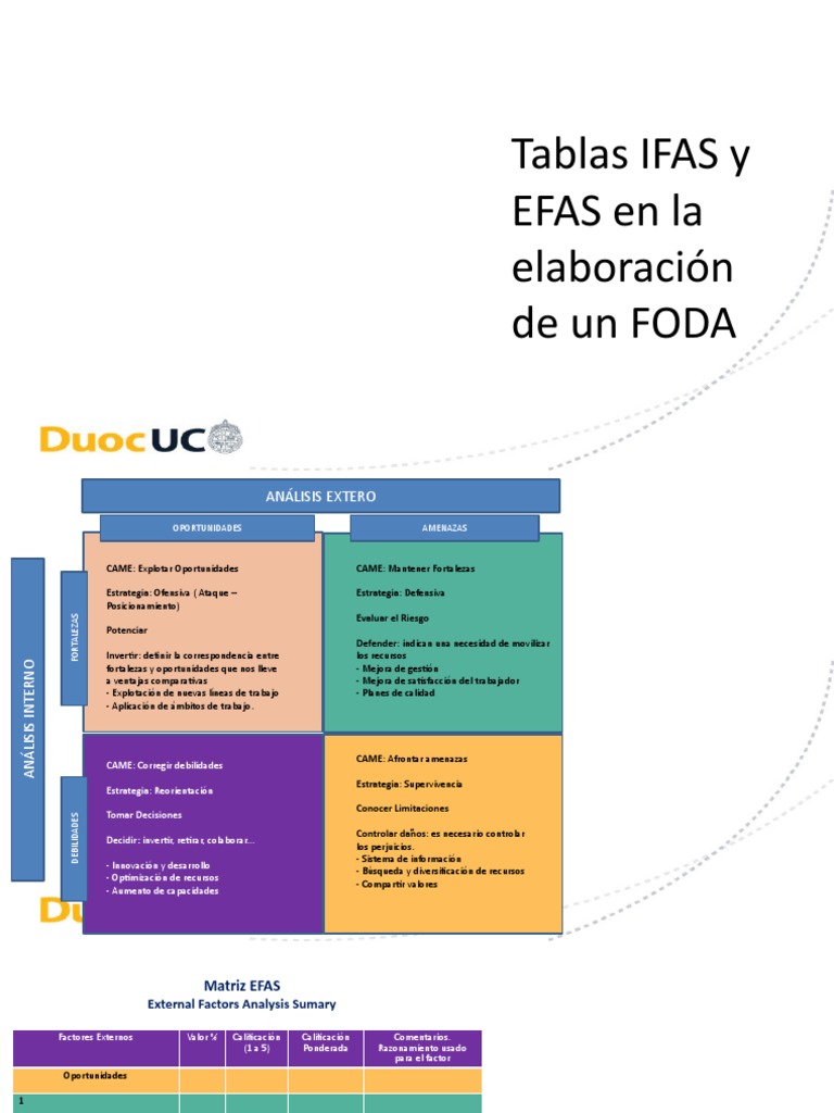 1.2.2 Ifas Efas | PDF | Análisis FODA | Business