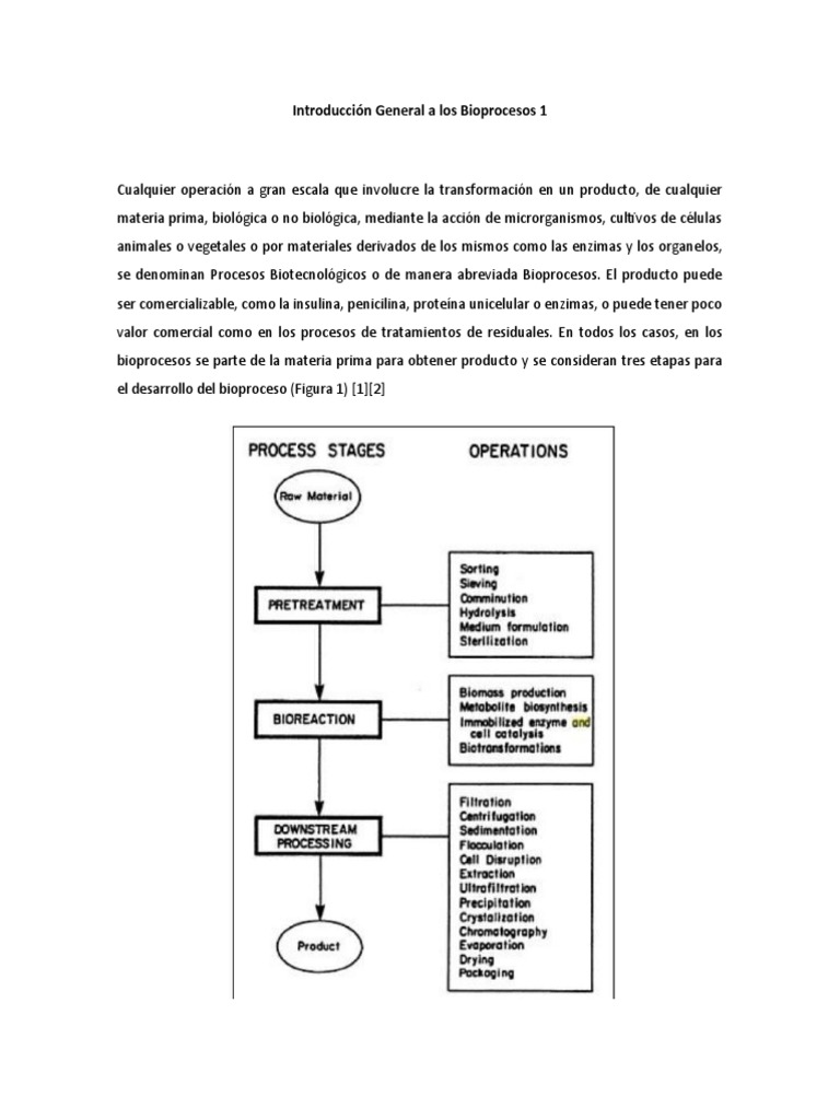 Introducción a los Bioprocesos y Etapas | PDF | Enzima | Química
