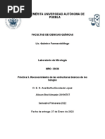 Medio MIO | PDF | Enzima | Química