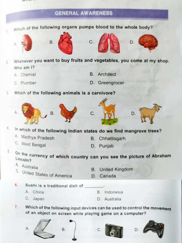 Class 3 Igko 2021 | PDF