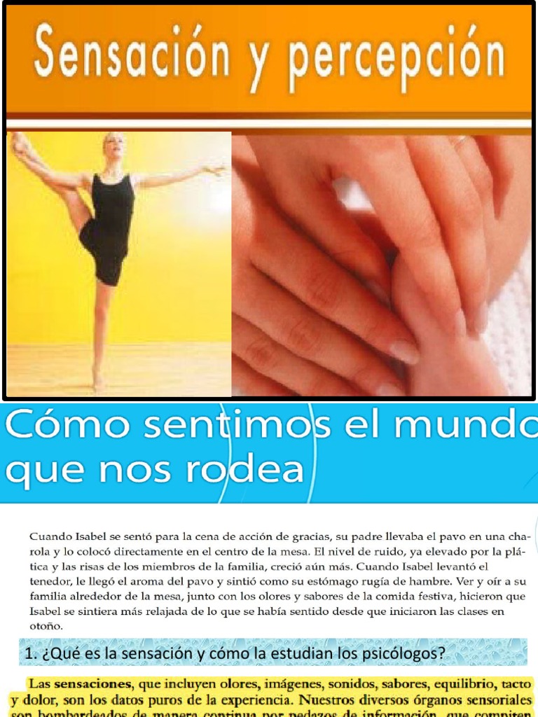Sensaciones y Percepciones | PDF | Percepción | Sentidos