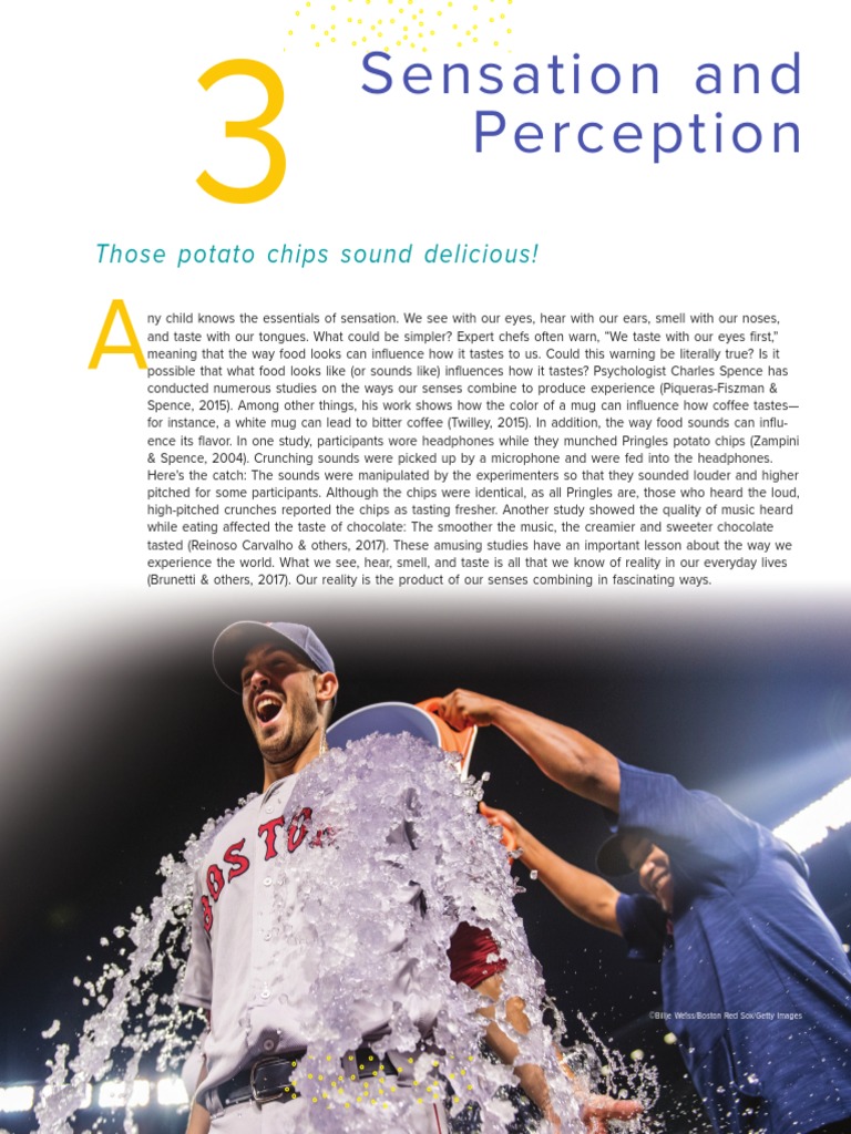 Chapter 3 - Sensation and Perception | Download Free PDF | Senses ...