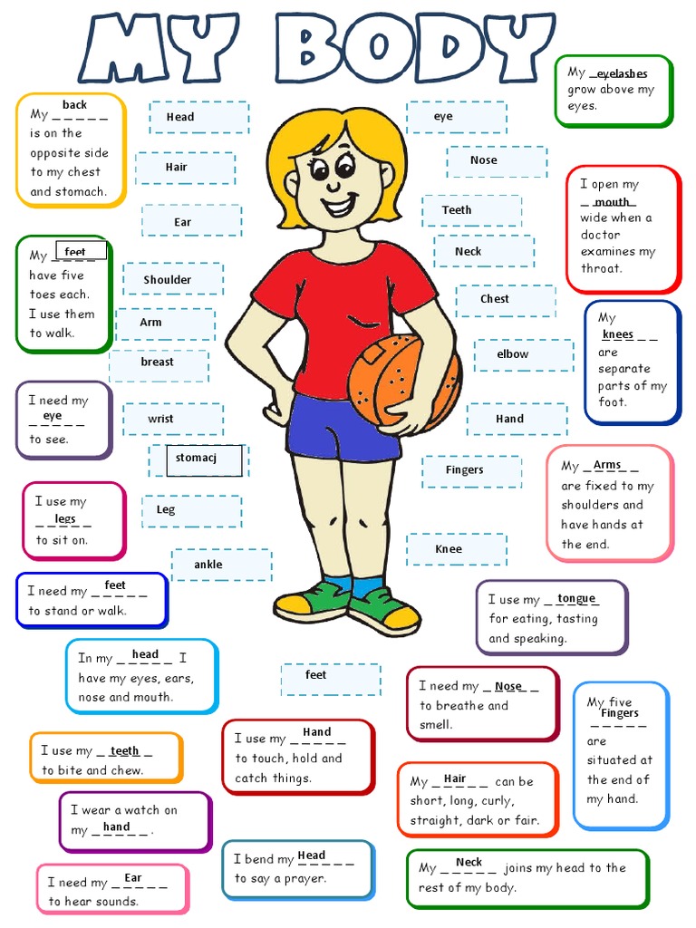 06 My Body | PDF | Hand | Anatomy