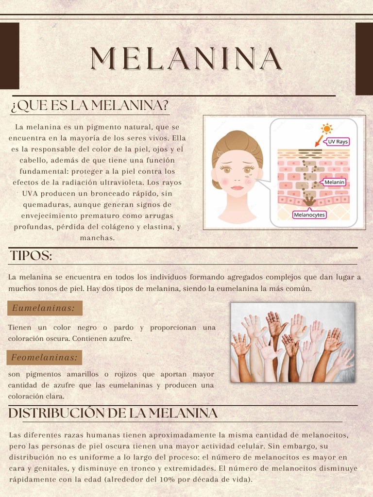 Funciones y tipos de melanina | PDF | Piel