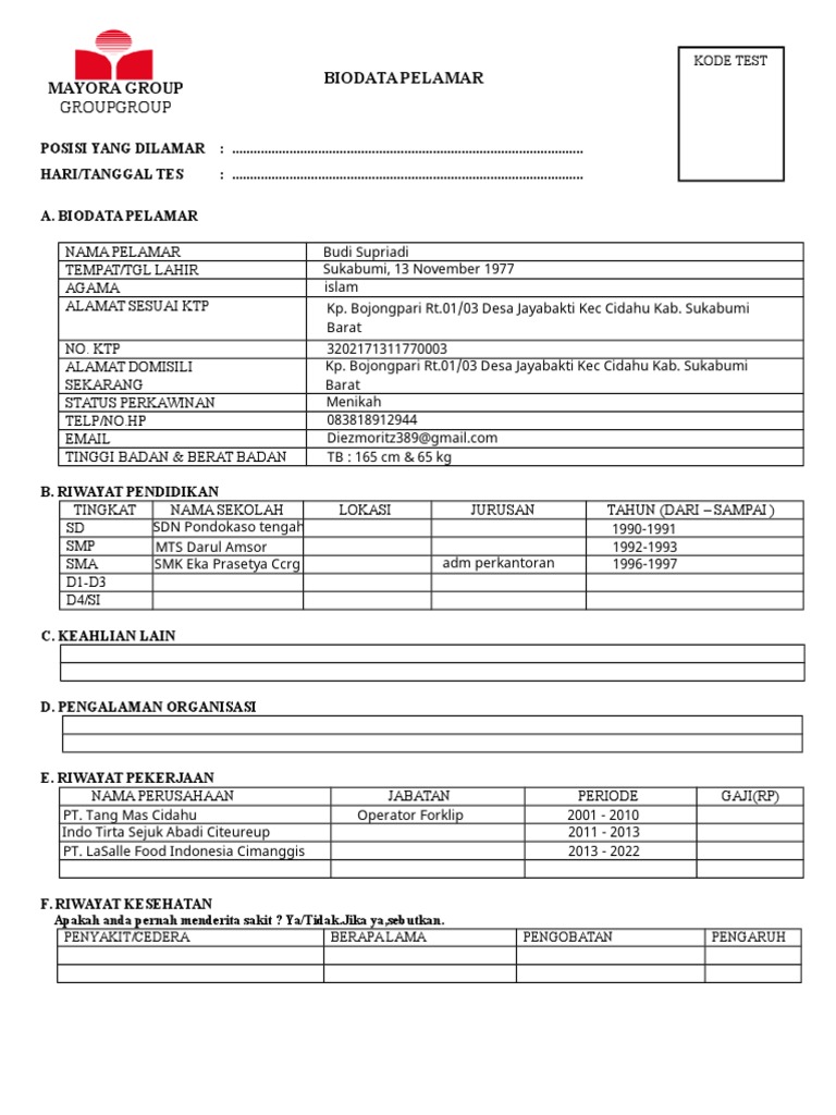 Form Biodata Pelamar 1 Lembar Ok | PDF