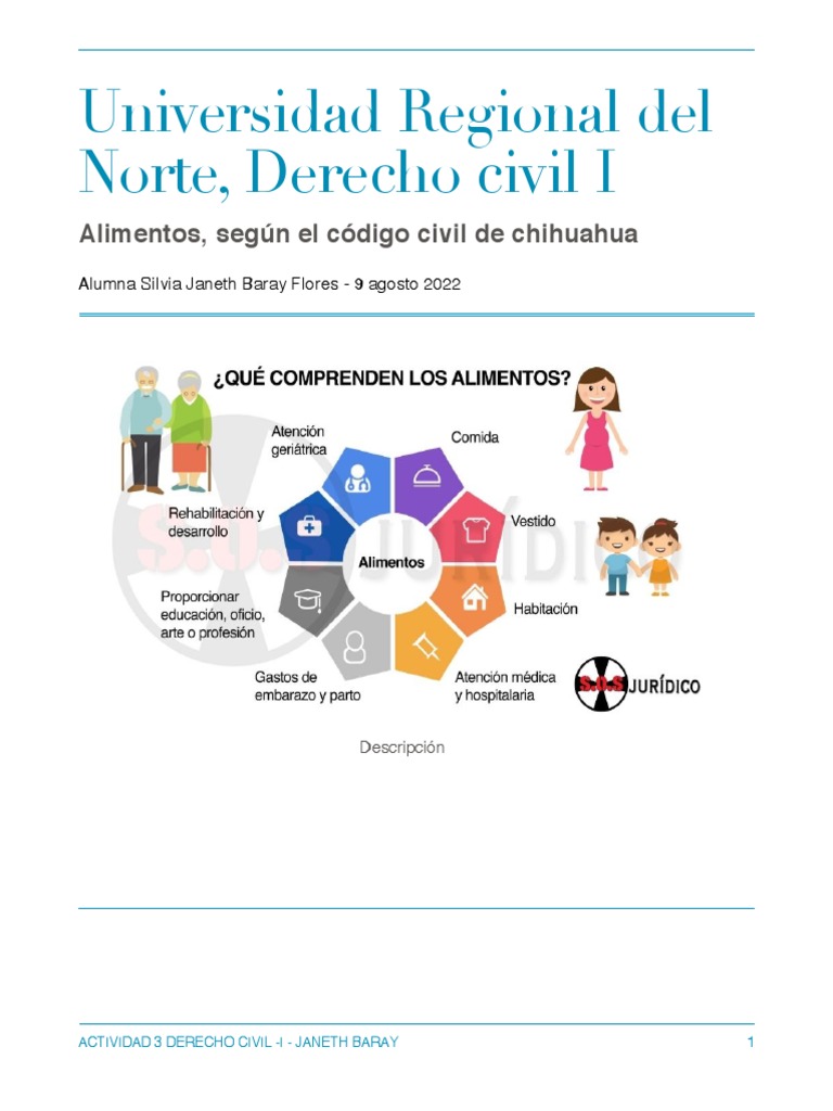 Actividad 3 Alimentos Silvia Janeth Baray Flores Civil I | PDF | Pensión alimenticia ...