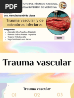 Codo y Antebrazo Cie10 | PDF | Codo | Extremidades (anatomía)