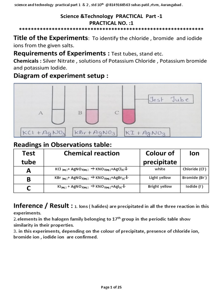 10 TH Science Practical Answer Key Semienglish-1 | PDF | Meiosis | Mitosis