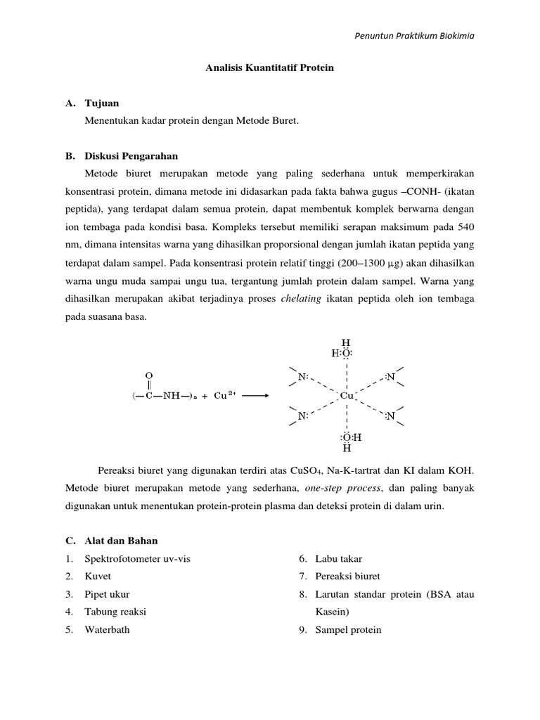 Analisis Kuantitatif Protein | PDF