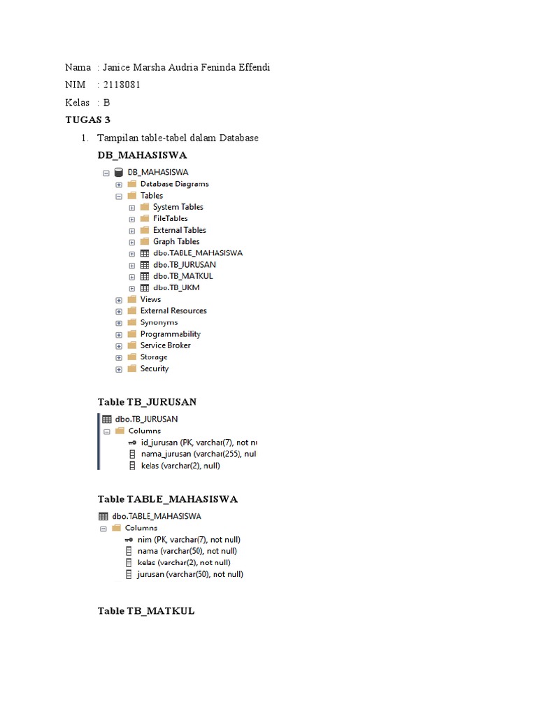 Janice Marsha Audria Feninda Effendi - Tugas 3 | PDF