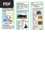 Tomevit Solución: Adultos Niños Lactantes | PDF