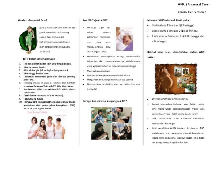 Leaflet Anc Terpadu | PDF