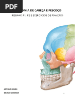 Suturas Do Crânio Resumo | PDF | Anatomia | Anatomia humana