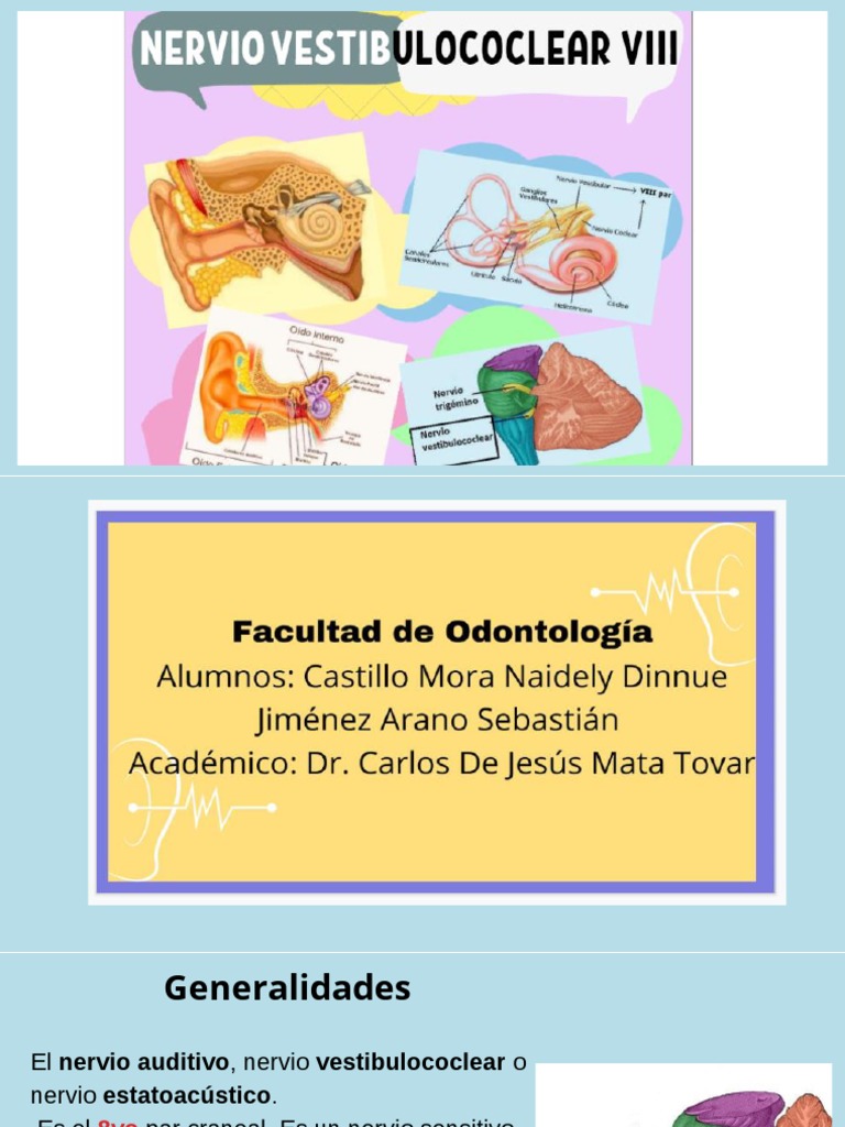 Viii Par Craneal | PDF | Escuchando | Cabeza y cuello humanos