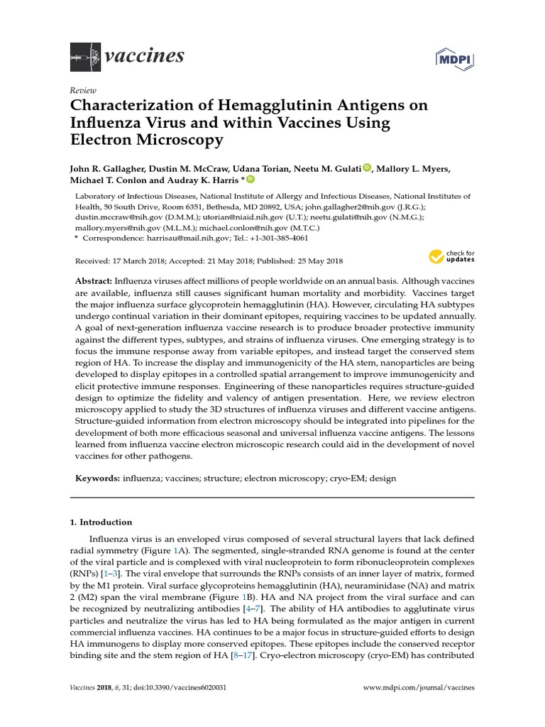 Vaccines: Characterization of Hemagglutinin Antigens On Influenza Virus ...