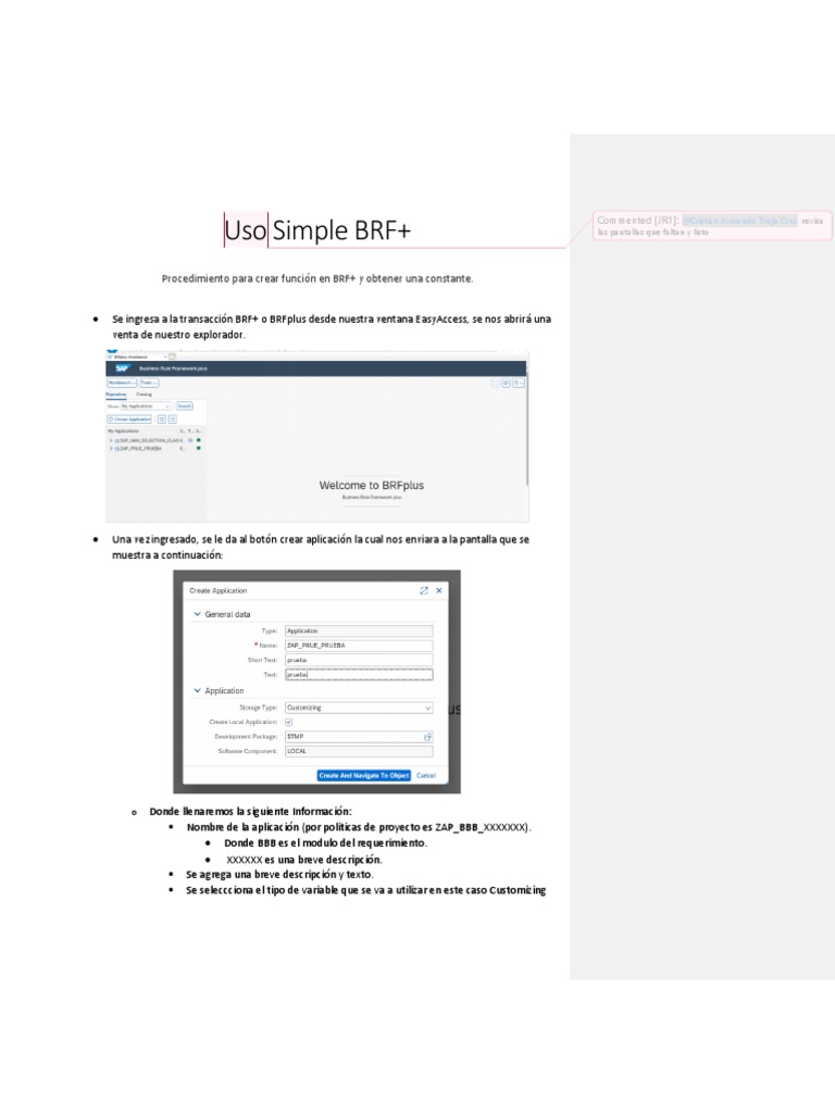 Manual Basico - Uso Simple BRF+ | PDF | Informática | Gestión de ...
